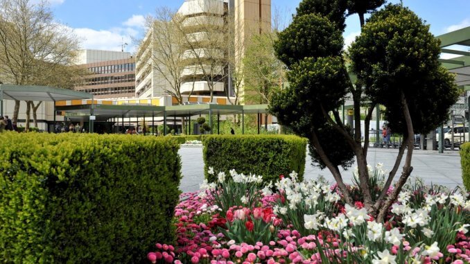 Generalsanierung des Klinikums Ingolstadt